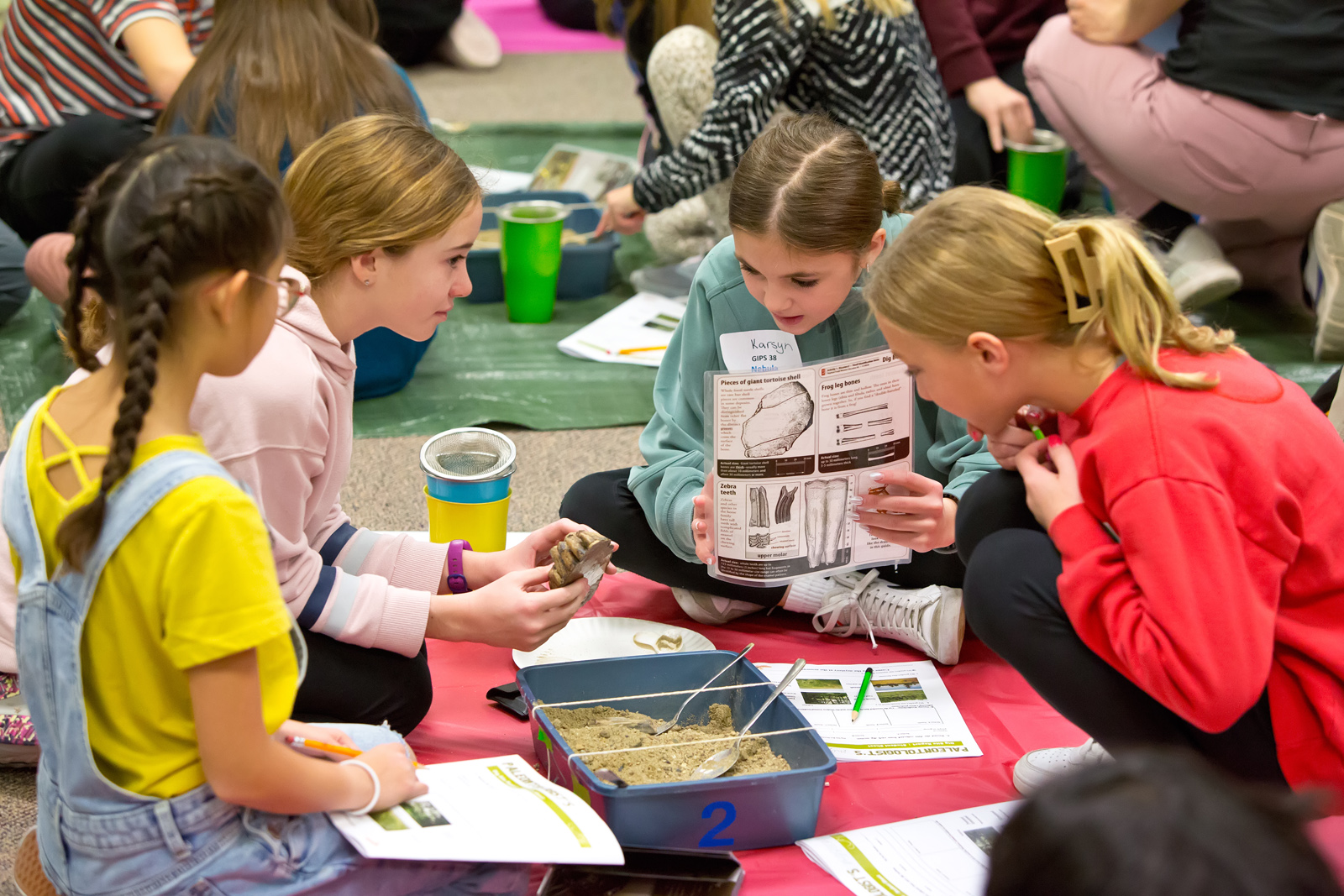 ESU 10: 2023 Elementary Science Olympiad (Day 2 Part 1)