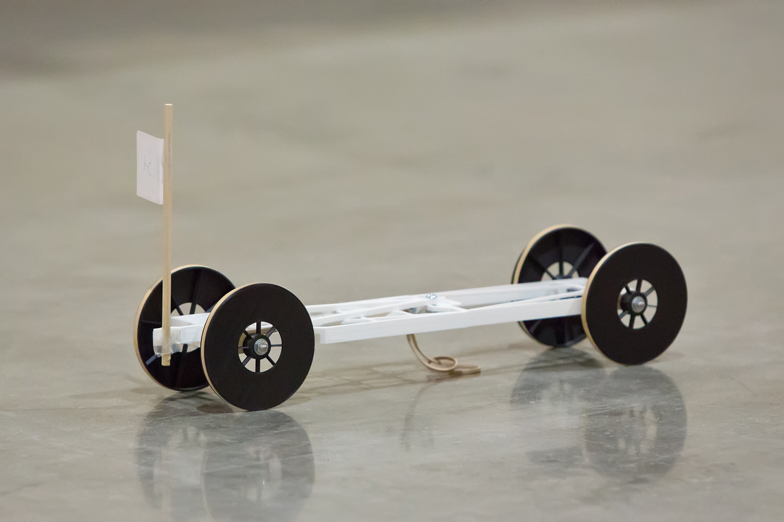 ESU 10: 2024 Science Olympiad